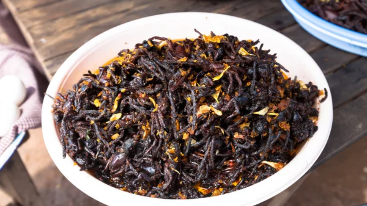 15 Of The World's Strangest Foods and Where To Try Them - Retiree Today